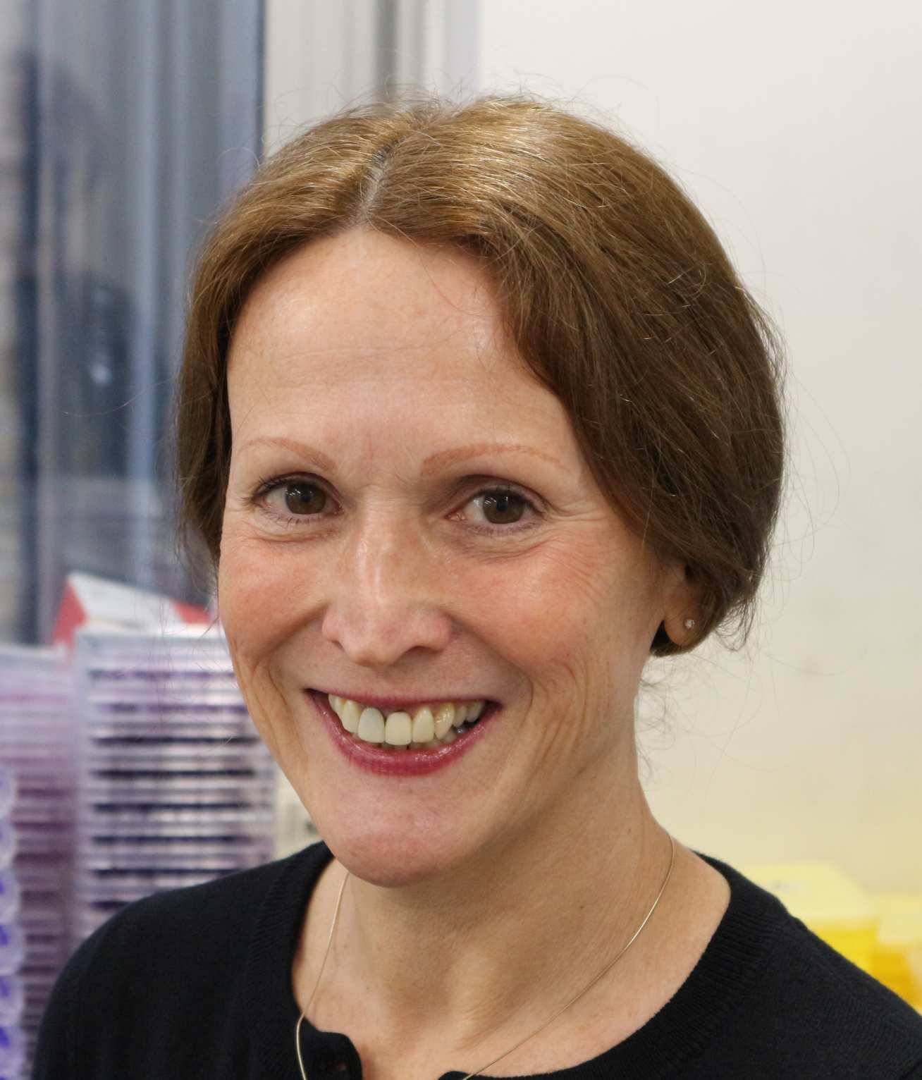 The 13th Unither Baruch Blumberg Lecture | Oxford Antiviral Drug ...